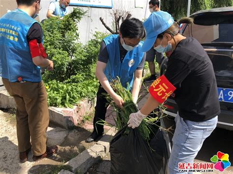 红色星期五 为社区治理提能增效 延吉新闻网