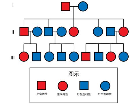 动物交配六亲不认，流浪雄狮长大以后，遇到自己的母亲怎么办？狮子基因狮群