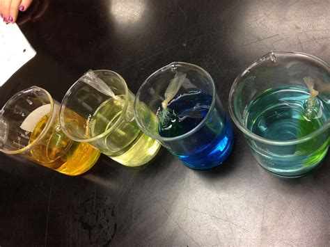 Osmosis Diffusion Lab