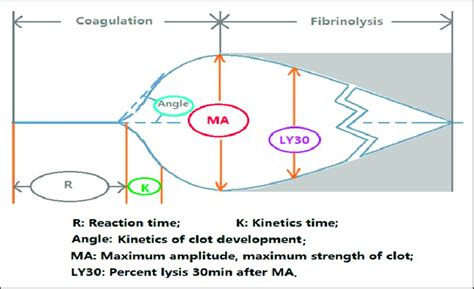 The Profile Of Thromboelastography Download Scientific Diagram