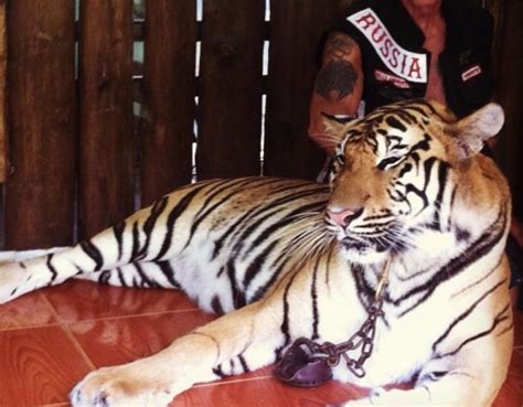 Hells Angels Mc Rmotorcycleclublife