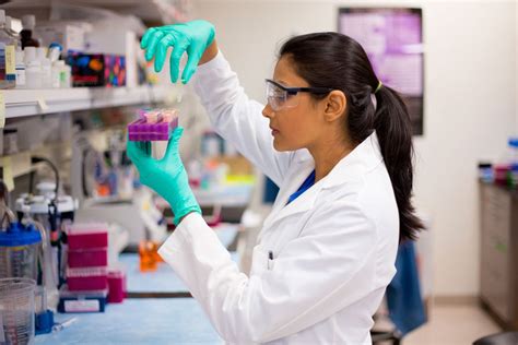 ¿qué Es La Inmunoterapia Y Cómo Puede Curar El Cáncer Tsm Noticias