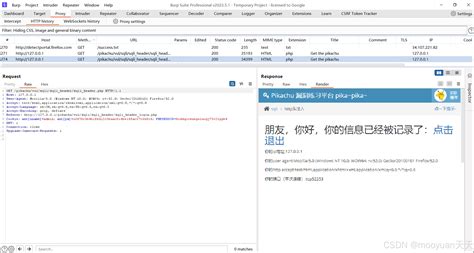 Pikachu靶场通关笔记24 Sql注入07 Header注入pikachu Header注入 Csdn博客