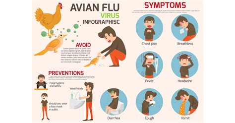 Bird Flu 2024 Canada Elaine Carmela
