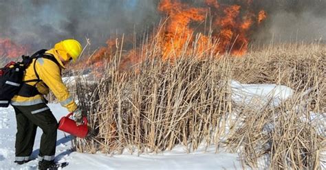 Usda Forest Service Offers Funding Through Cohesive Fire Strategy Grant Program Wxpr