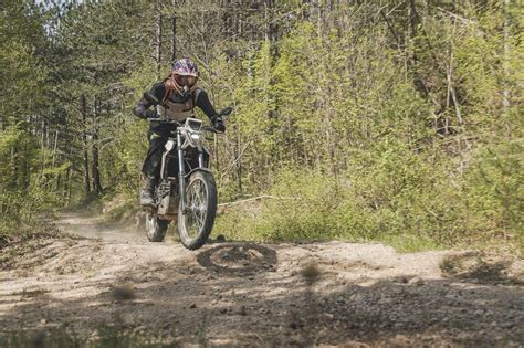 Beta Alp 4 0 Test 2024