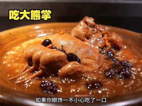 日本星级大厨烹饪大熊掌，最后的成品真叫绝了 神奇动物社 神奇动物社 哔哩哔哩视频
