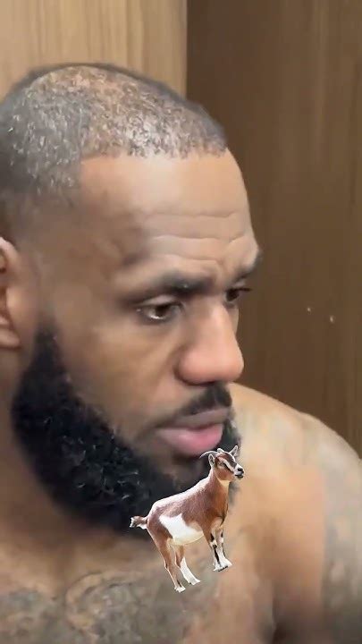 Goat Noises Are So Accurate Too 😂😂lebron Lebronjames Lebronjames23
