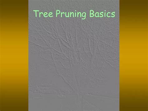 PPT Tree Pruning Basics PowerPoint Presentation Free Download ID 6564143