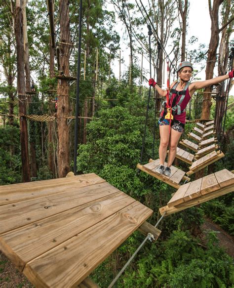 Tree Top Challenge Tamborine SPARK POP