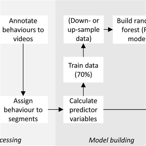 Machine Learning Workflow For Random Forest Classification Of Observed