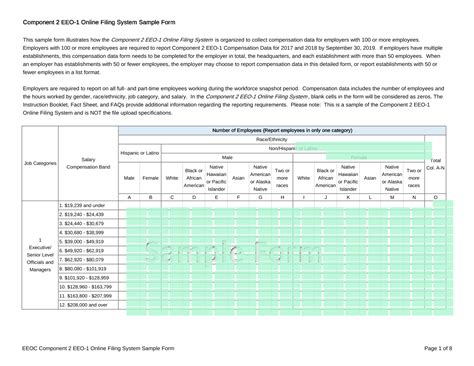 Eeoc Component 2 Eeo 1 Online Filing System Sample Form