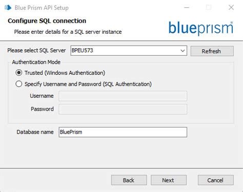Blue Prism API Installation
