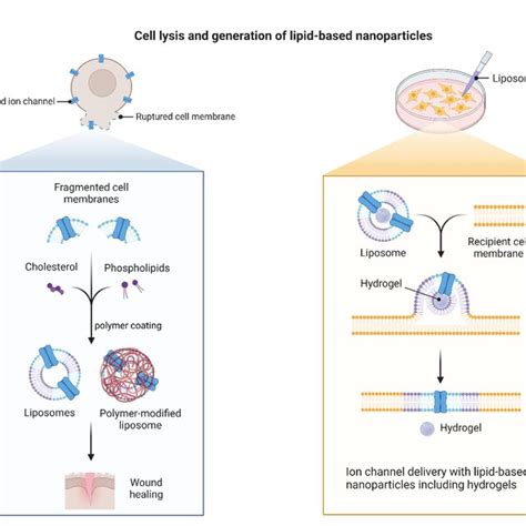 Cell Lysis And Generation Of Lipid Base Nanoparticles In Wound Healing
