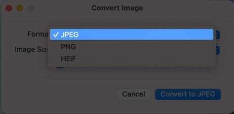 How To Convert HEIC To On IPhone IPad Or Mac IGeeksBlog