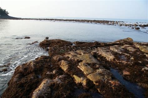 Chodo Island | 초도(여수) : TRIPPOSE