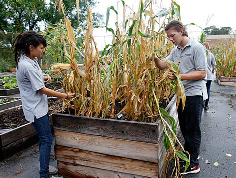 Grasso Tech Hosts Farm To Chef Week With Very Local Ingredients