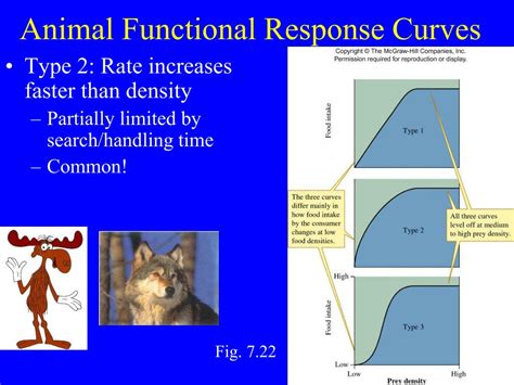 Ppt Energy Nutrient Relations Ch 7 Powerpoint Presentation Free Download Id 5621494