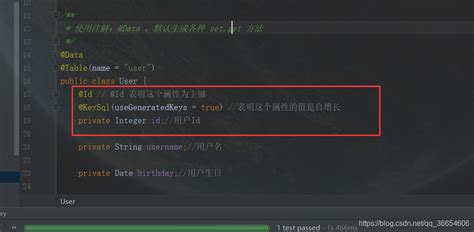 关于通用 Mapper 中 Selectbyprimarykey 无法根据id查询 Csdn博客