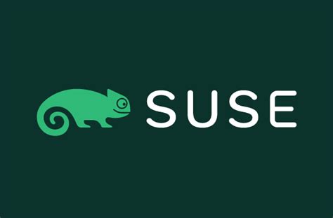 30 Anos De Suse Linux