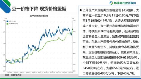 大豆市场监测报告20220822
