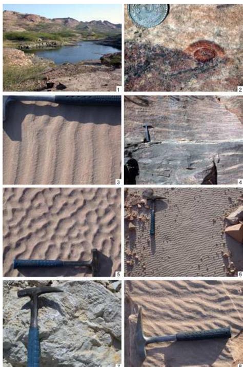 1 Photographs Showing 1 Of A Spiral Burrowing