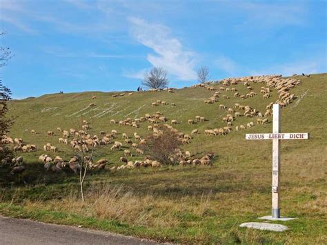 Der gelbe Berg: Wanderungen und Rundwege | komoot