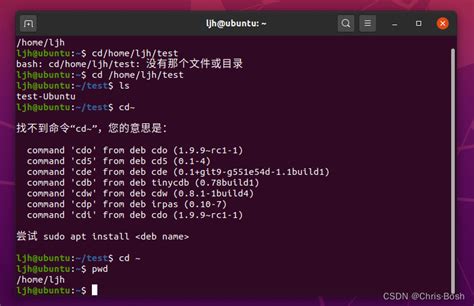 虚拟机ubuntu操作系统最基本终端命令（安装包详细解释详细演示）ubuntu终端 Csdn博客
