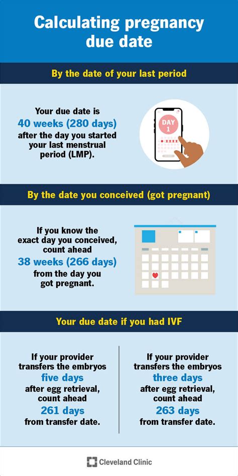 Due Date Calculator How Many Weeks Pregnant Are You