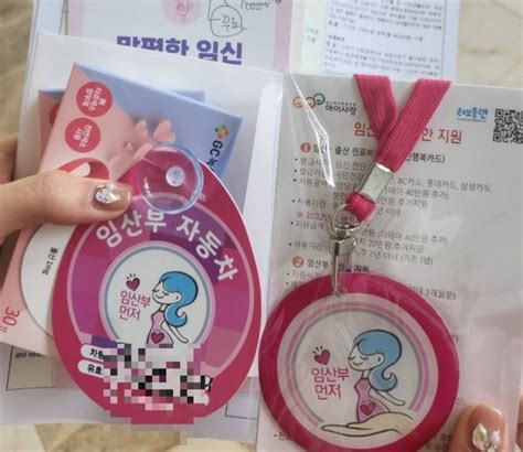 임신 4주차 임테기 2줄 화성시동탄보건소에서 임산부 뱃지 임산부 주차증 엽산 받아왔어요 네이버 블로그