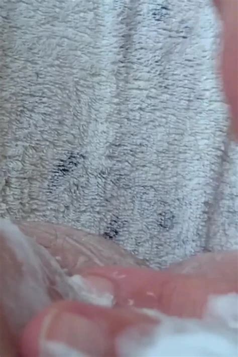 Vídeos De Porno Afeitar Xhamster