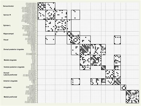 Thresholded Semipartial Correlation Matrix Of The Roi To Roi