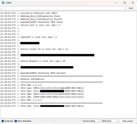 Ipv4ipv6 W6100 Evb Pico With Arduino Ide Rraspberrypipico