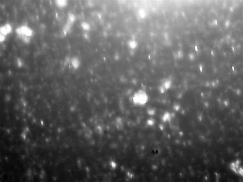 Deneme Instance Segmentation Dataset And Pre Trained Model By Mostar