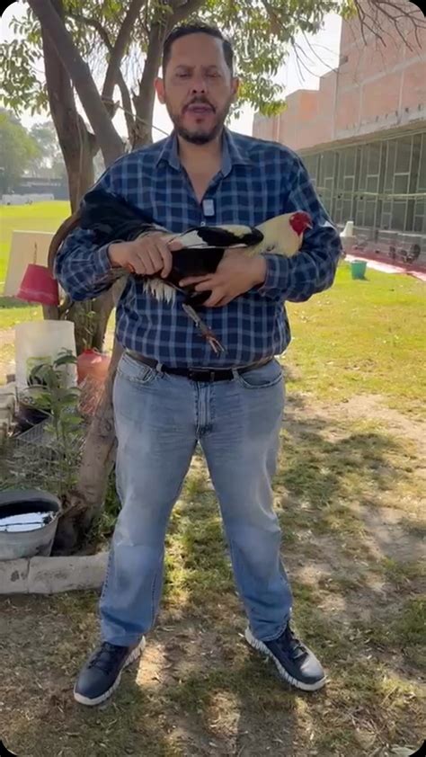 Victor Bugarin Navajasbugarin • Instagram Photos And Videos