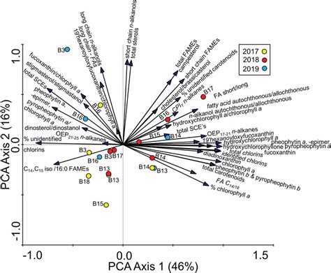 Principal Components Analysis PCA Biplot On Log10 Transformed