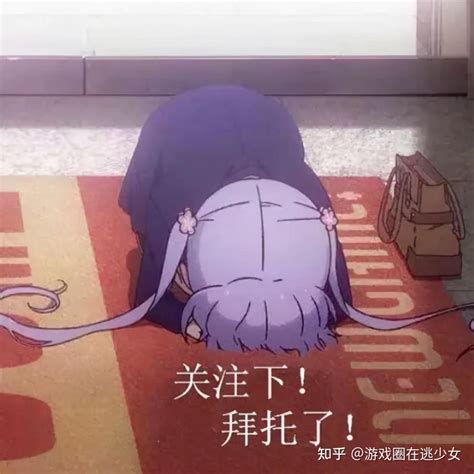 “为什么不ban猛犸”成烂梗，从歌曲评论区到无关视频弹幕？无处不在 知乎