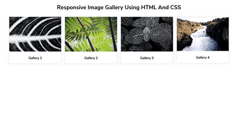 Responsive Image Gallery Using Html And Css W Hubs