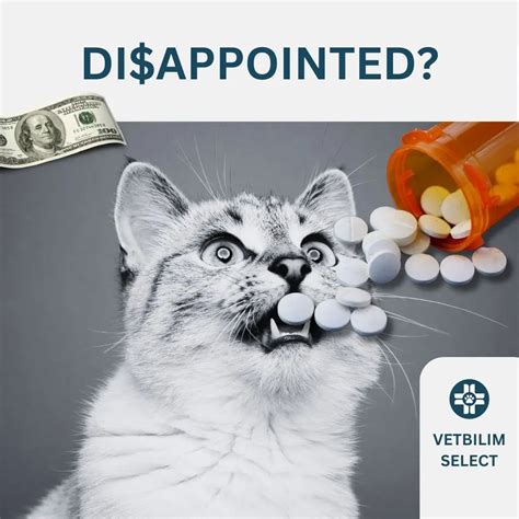 Nasal Discharge In Cattle Causes And First Aid For Owners Vetbilim