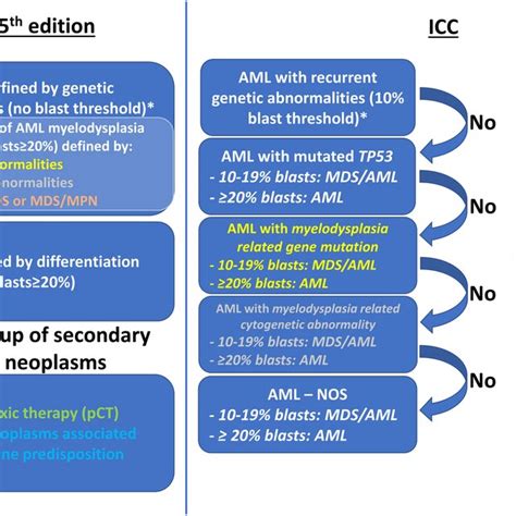 Pdf Acute Myeloid Leukemia 2023 Update On Diagnosis Risk