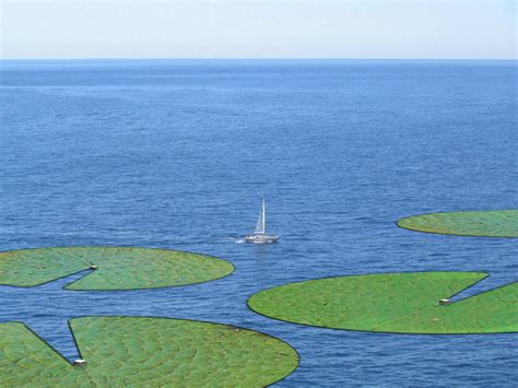 Algae Energy At London2011 Design Indaba