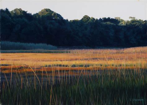 Artist Bio Tom Steinmann Cape Cod Artist
