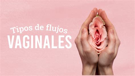 Flujos Vaginales Cuidados Y Señales De Alerta Previser