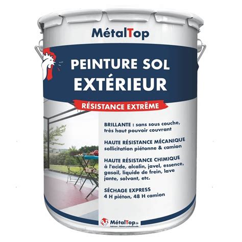 Peinture Sol Exterieur Metaltop Rouge Rubis Ral 3003 Pot 1l