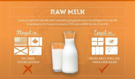 Les Aliments Interdits Selon Les Pays Le Bonbon