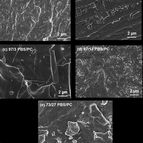 sem micrographs for a neat pbs b neat pc c 97 3 pbs pc d