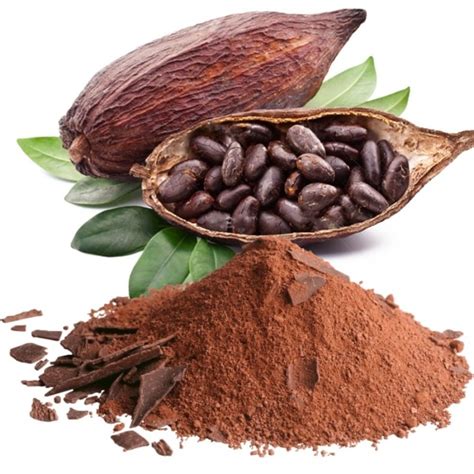 Cacao Pudra Aroma Spice 12 Plicuri X 100 G Pudra De Cacao Cacao Praf