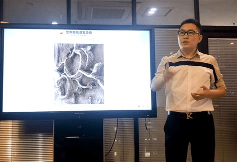 别卡速：葡萄酒知识（2）