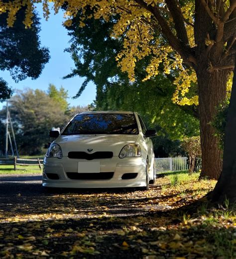 ヴィッツの紅葉と愛車・ドライブ・イチョウ並木に関するカスタム事例｜車のカスタム情報はcartune