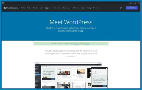 What Is Wordpress Codecrew Infotech
